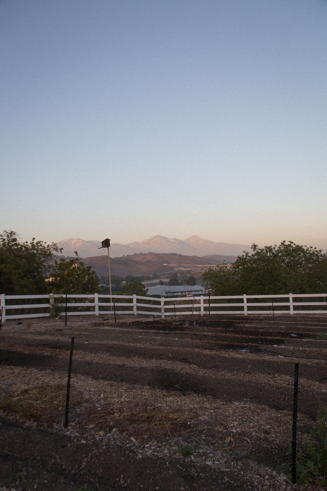 Native Fields – The Farmers Market Global
