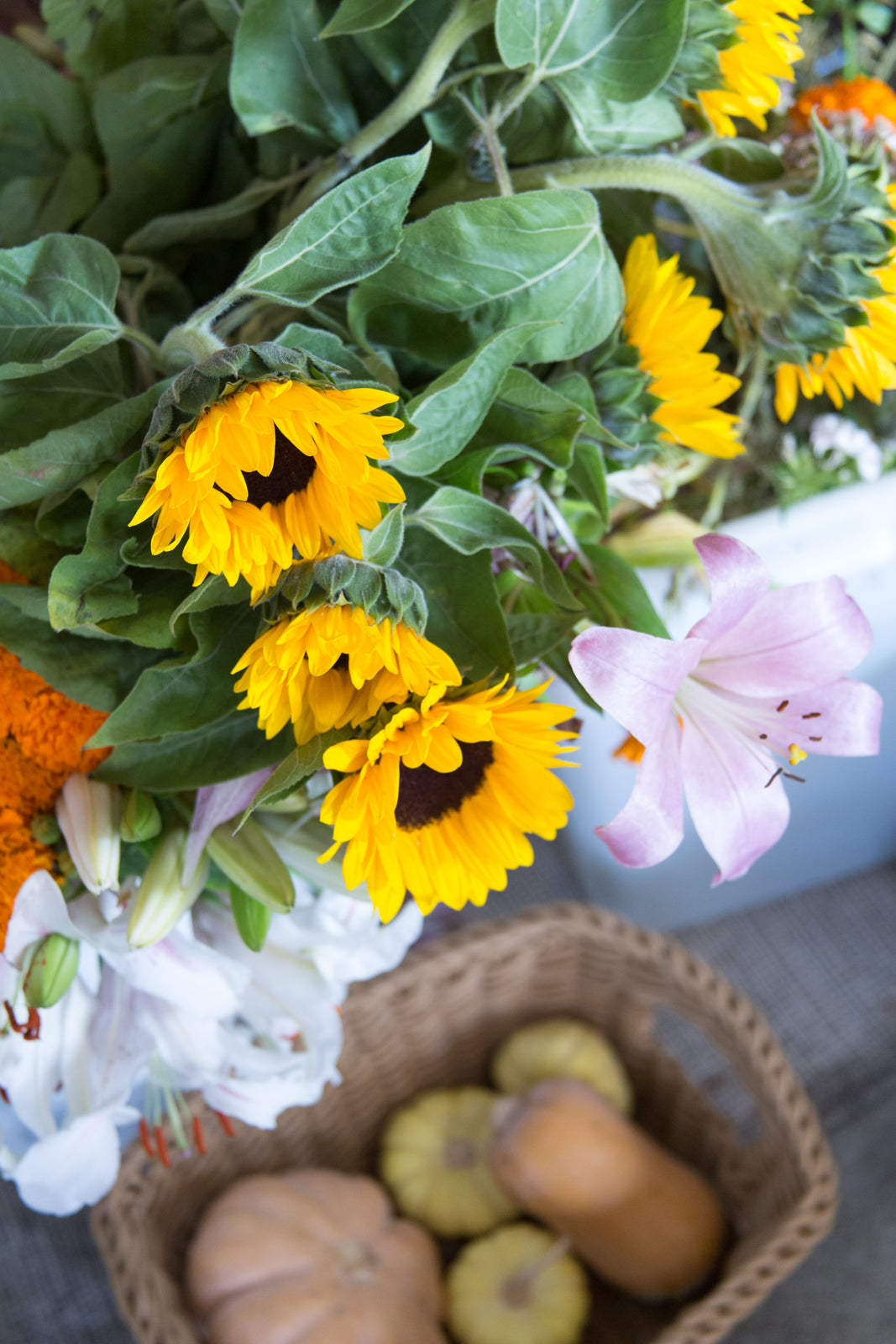Native Fields – The Farmers Market Global